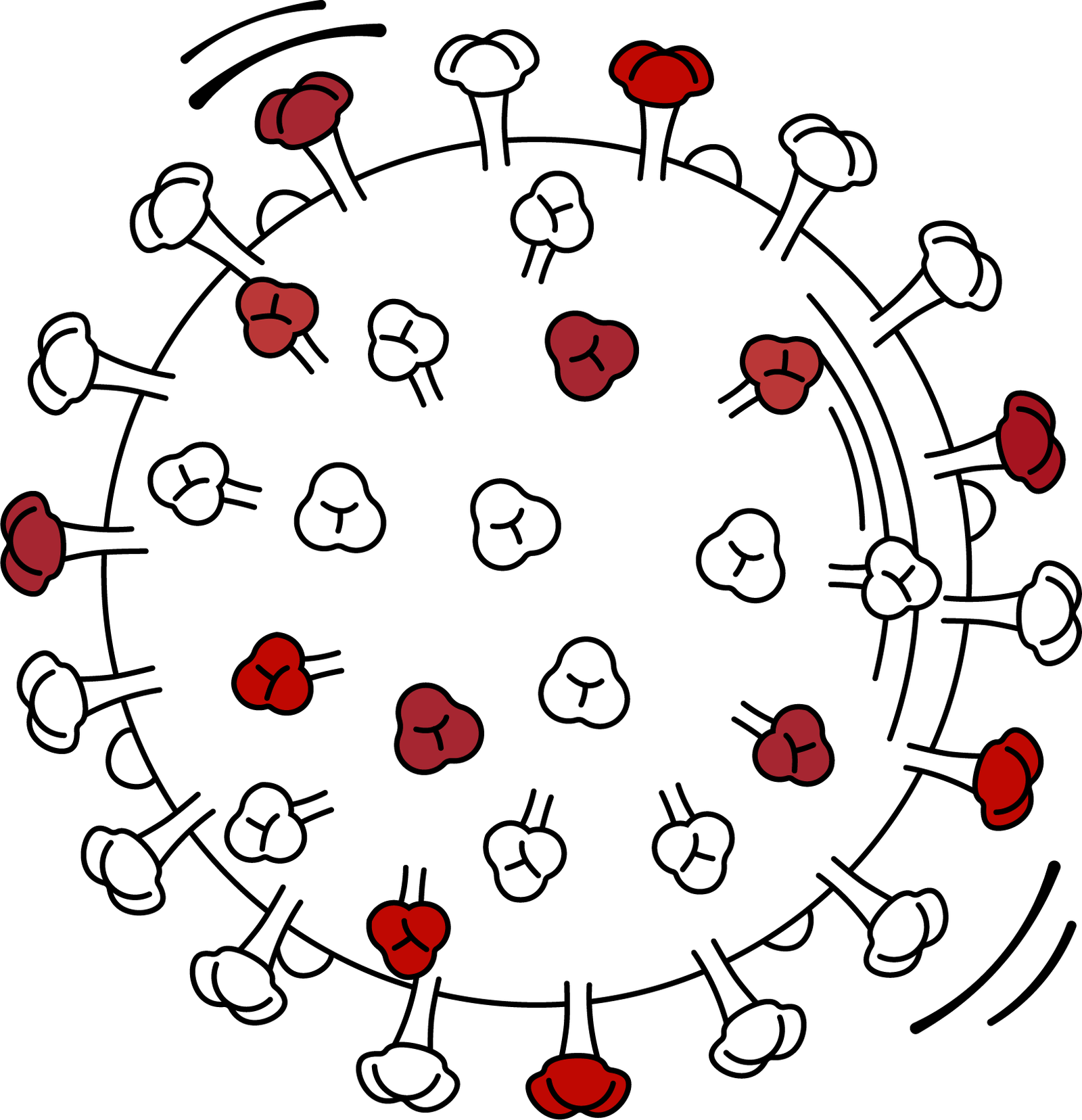 Research - De Souza Lab